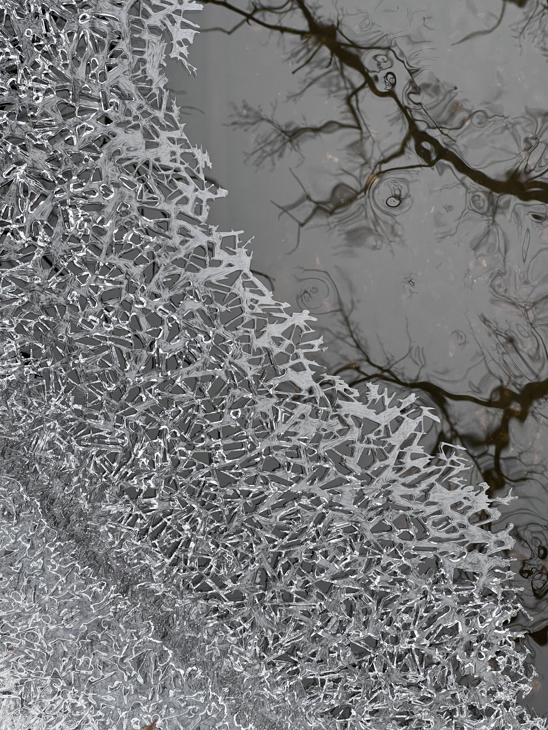 First Ice Crystals on Minihaha Creek, 2024 – Journal